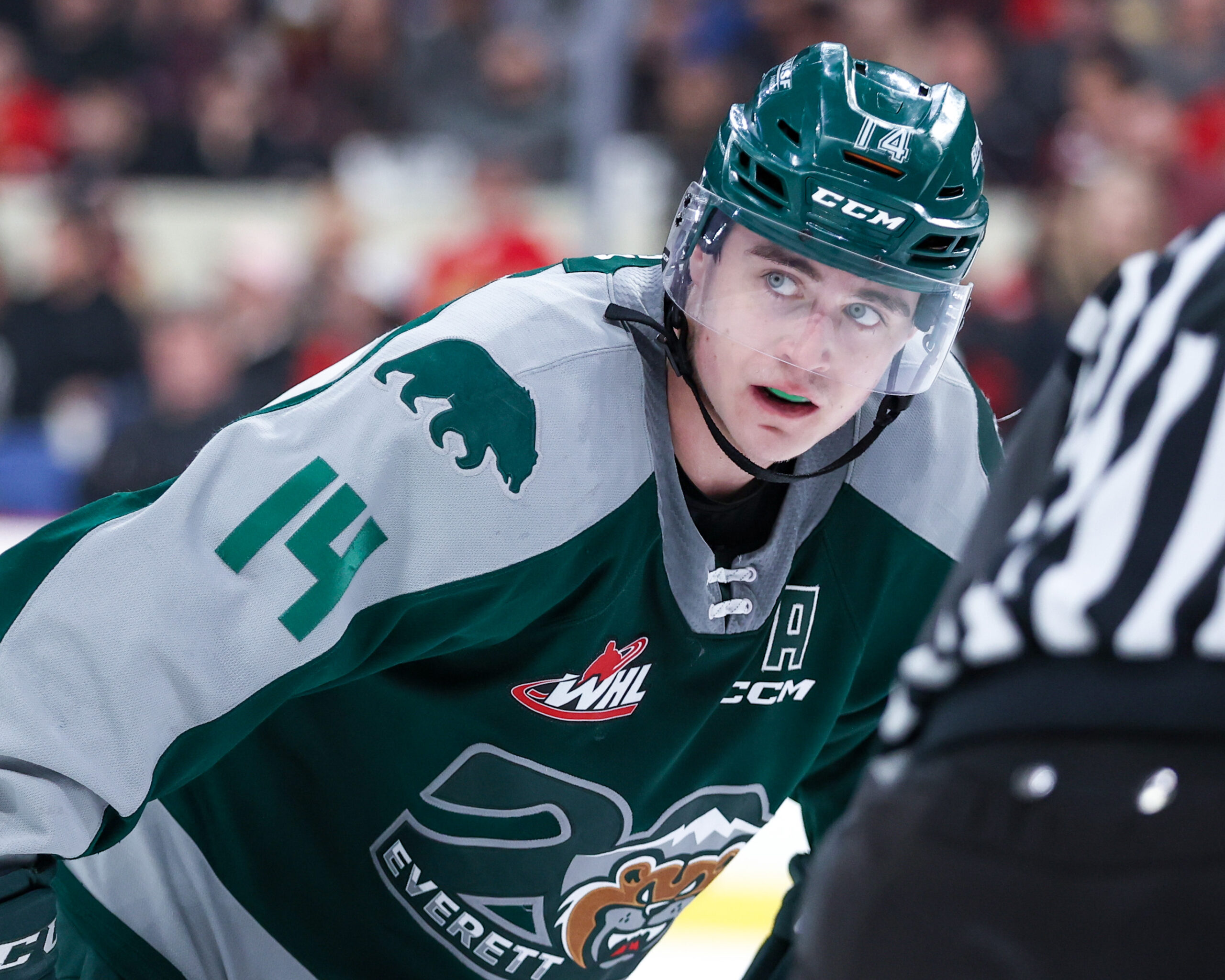 2023-24 Player Profile: Austin Roest - Everett Silvertips