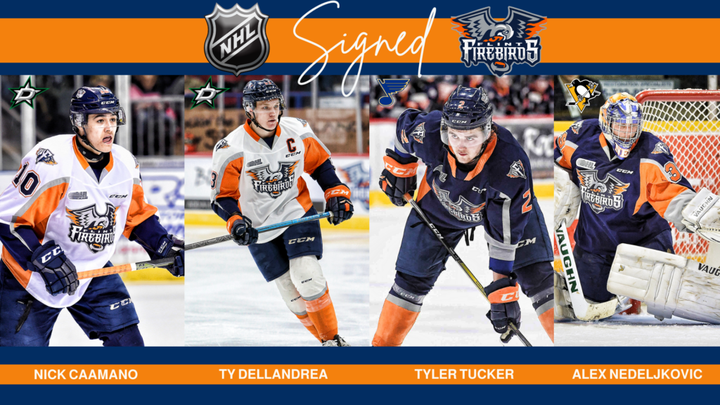 Four Former Firebirds Have Re-Signed NHL Contracts Ahead of Season ...