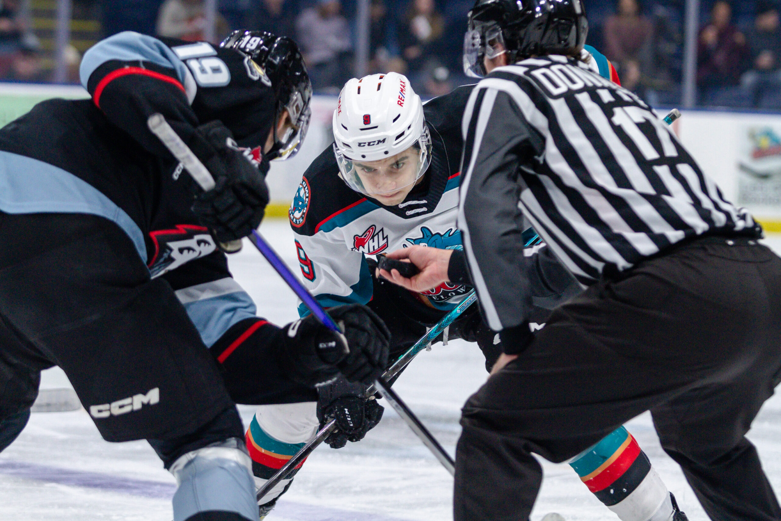 Rockets announce on-sale date for pre-season and first two regular ...