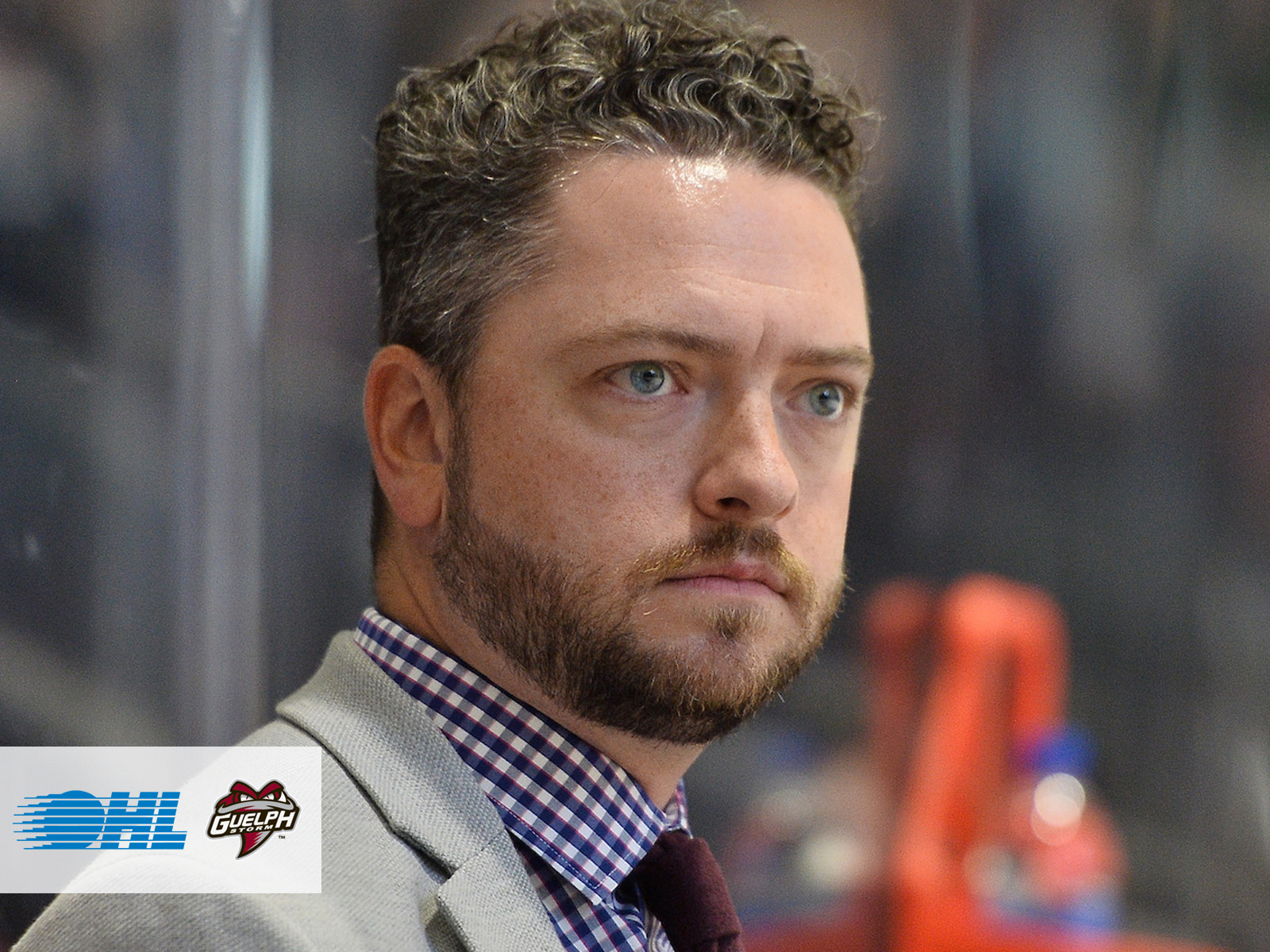 Storm add Daniel Fitzgerald to coaching staff - Ontario Hockey League