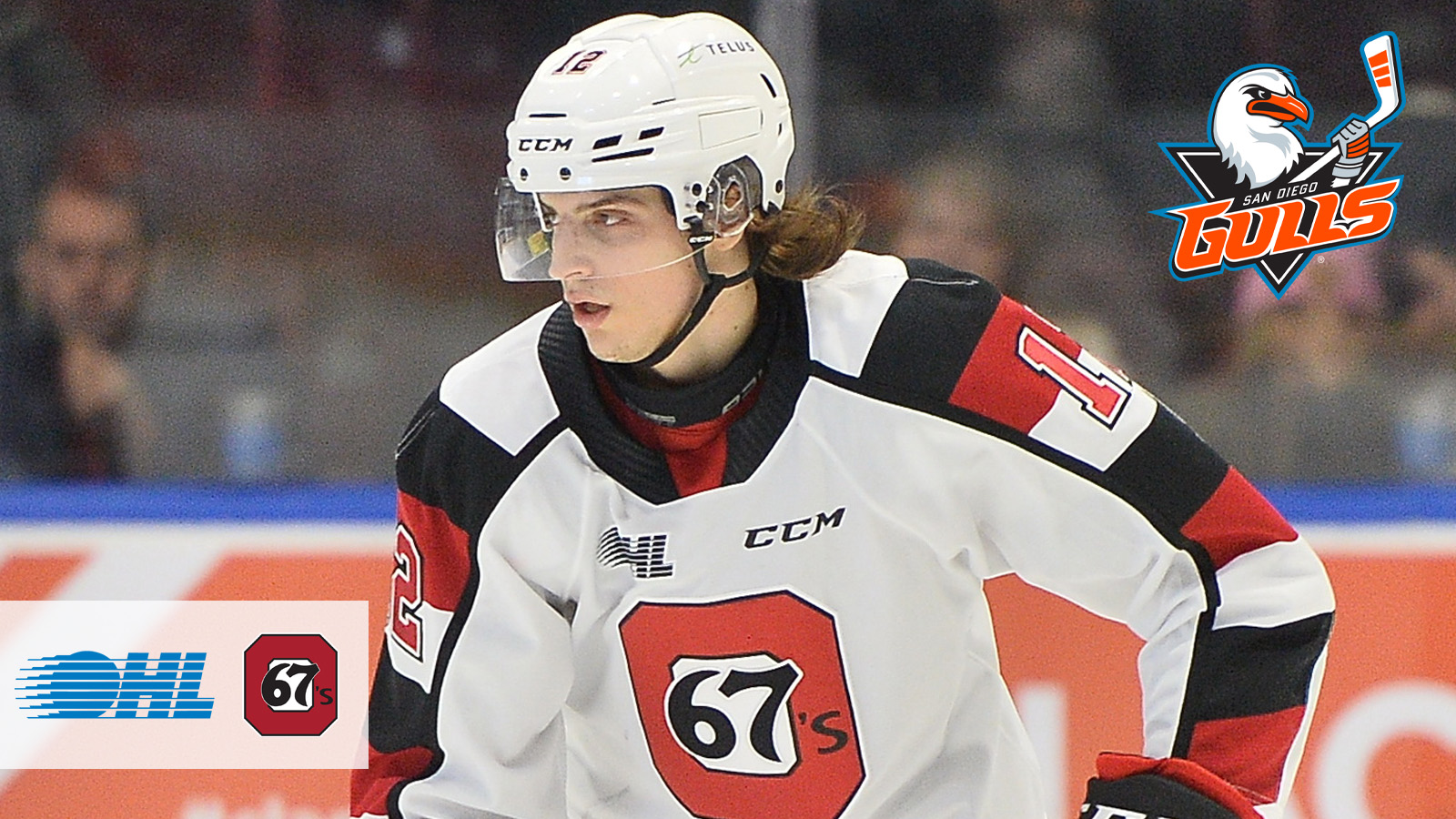 67's' Costantini signs one-year AHL contract with San Diego - Ontario ...
